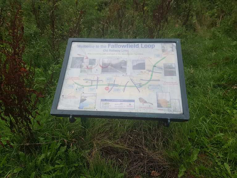Ashton Canal – Fallowfield Loop trail loop from Fallowfield Triangle ...