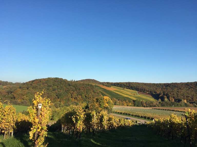 Burgruine Helfenberg: Wanderungen und Rundwege | komoot