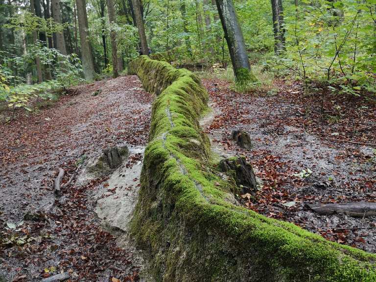 Steinerne Rinne bei Erasbach: Wanderungen und Rundwege | komoot
