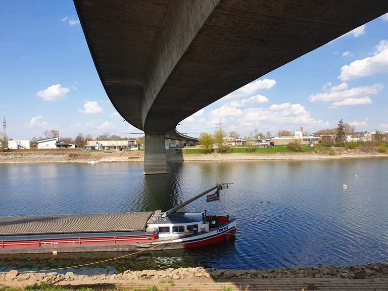 Altrheinbrücke Sandhofen / Mannheim 🚴‍♂️ Road Cycle Routes and Map | Komoot