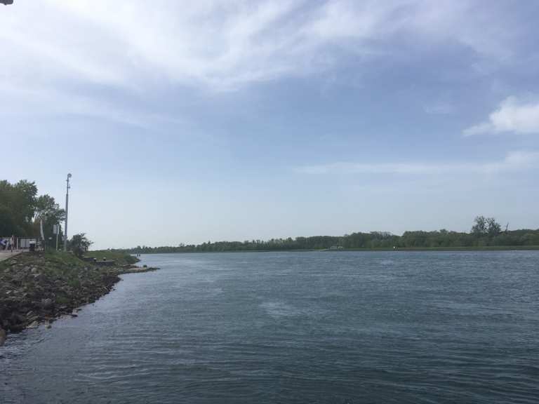 Ferry Greffern–Drusenheim Cycle Routes and Map | Komoot