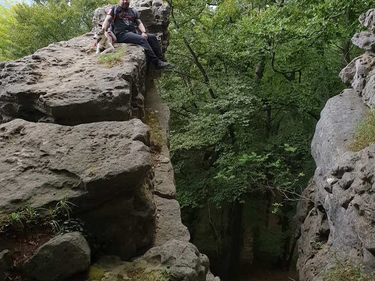 Kanstein am Thüster Berg: Wanderungen und Rundwege | komoot