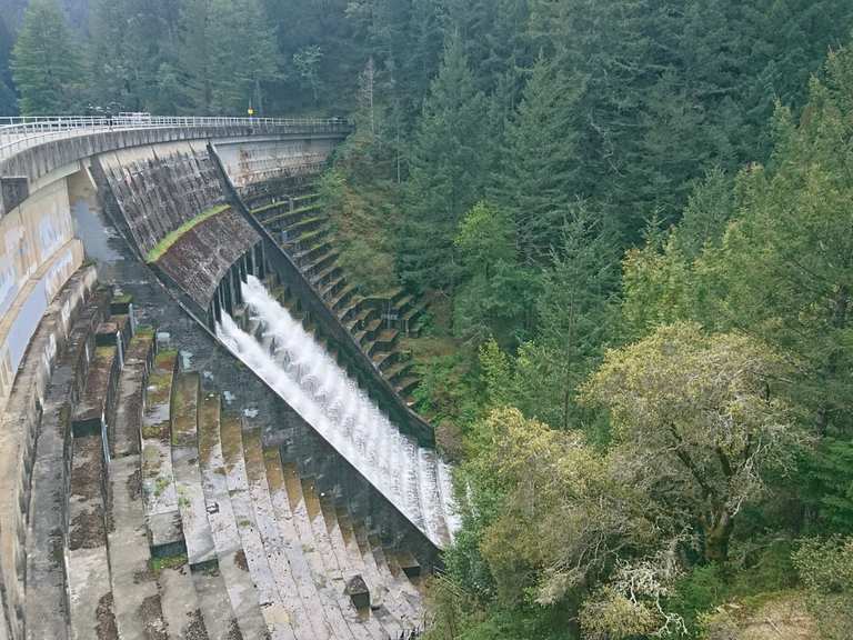 Alpine Dam & Mount Tamalpais East Peak loop from Downtown San Rafael ...