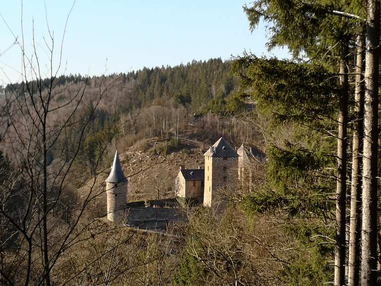 Belle vue sur le château de Reinhardstein - Itinéraires de rando et ...
