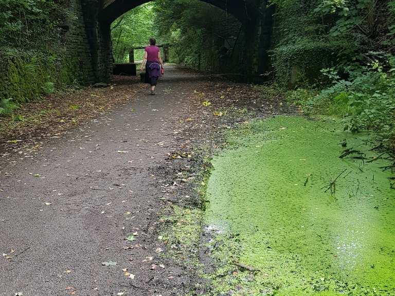 Taff Trail: Nantgarw to Pontypridd Mountain Bike Trails & Tracks | Komoot