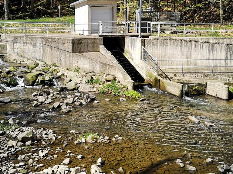 Traumhafter Abschnitt der Freiberger Mulde: Radtouren und Radwege | komoot