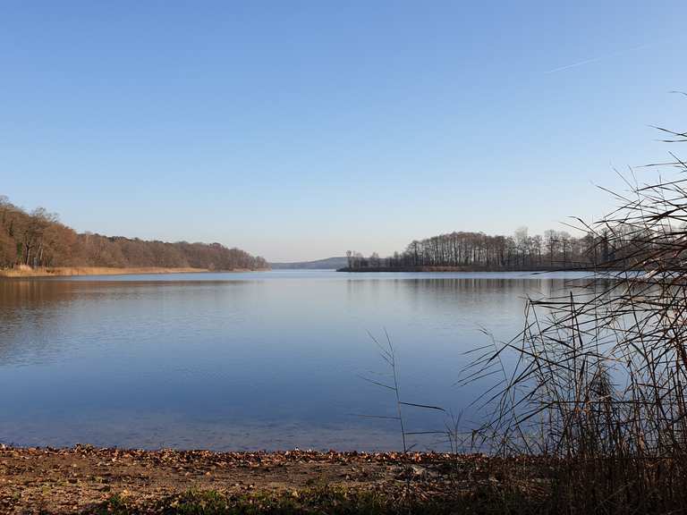 Großer Seddiner See: Wanderungen und Rundwege | komoot