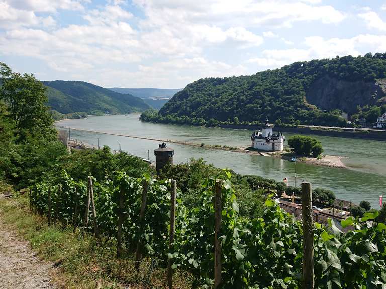 Panoramaweg oberhalb von Kaub – Rheinsteig Lorch bis Kaub Runde von ...