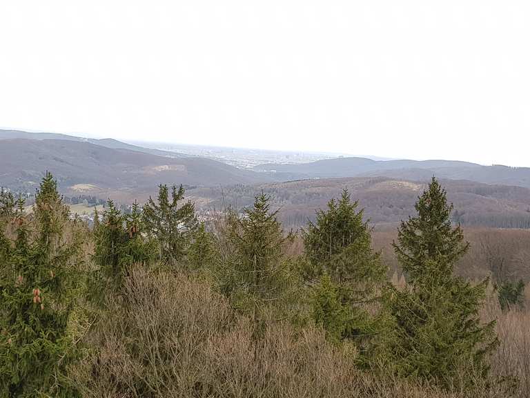 Troppbergwarte - Gablitz, Vienna Surroundings | Hiking Tips & Photos ...