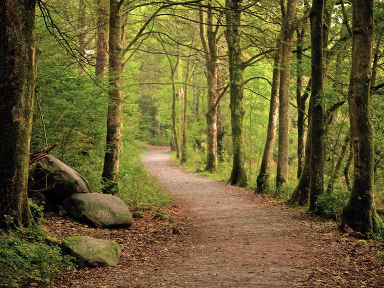 Bike Tour around Delamere Forest with great views | bike Tour | Komoot