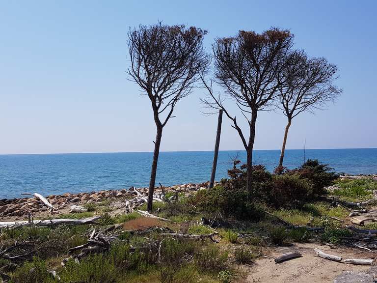 Pista ciclabile nella foce a delta dell'Ombrone Cycle Routes and Map ...