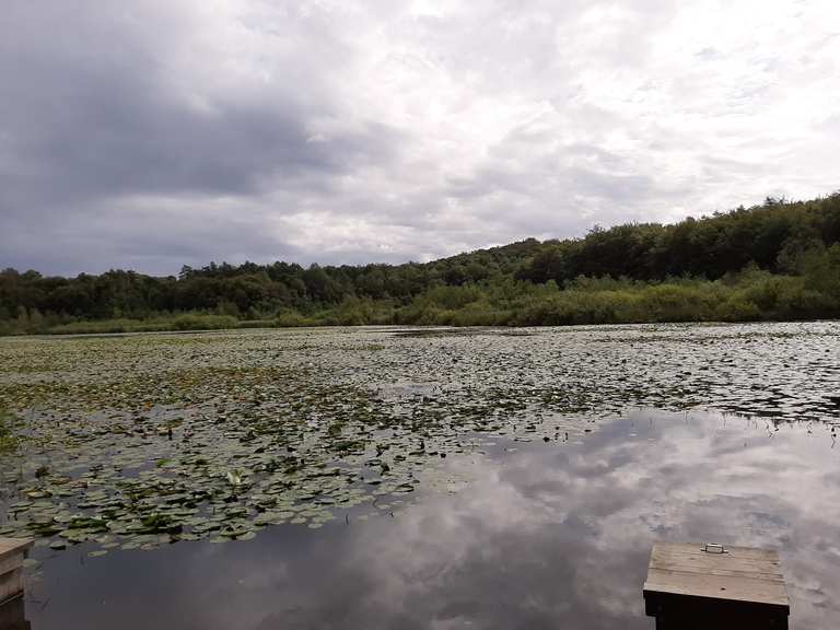 Roikier See Routes for Walking and Hiking | Komoot