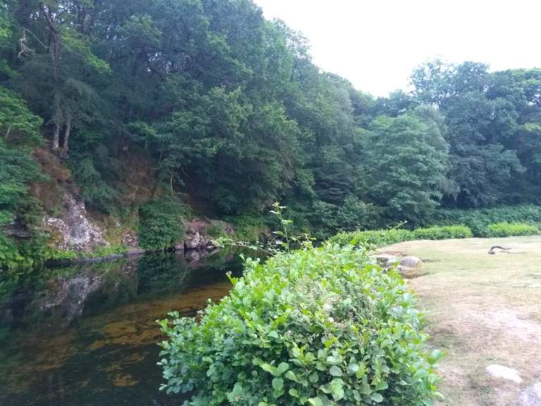 Spitchwick Manor & Dr Blackall's Drive — Dartmoor National Park ...