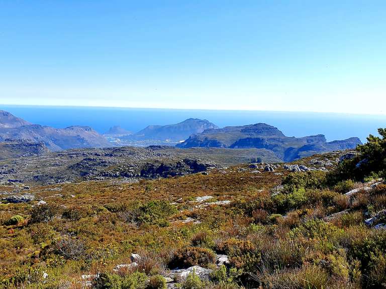 Maclear's Beacon Routes for Walking and Hiking | Komoot