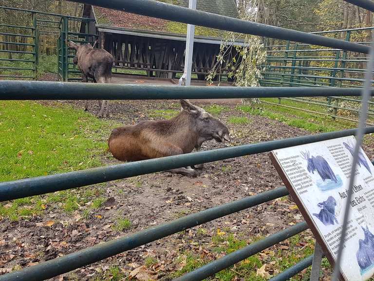 Wildpark Leipzig Routes for Walking and Hiking | Komoot
