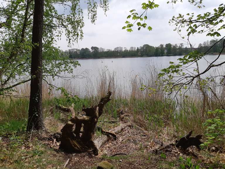 Großer Seddiner See: Wanderungen und Rundwege | komoot