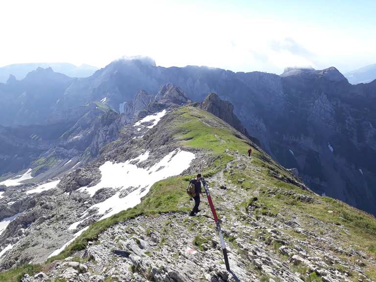 Lisengrat - Gipfelanstieg Säntis Routes for Walking and Hiking | Komoot