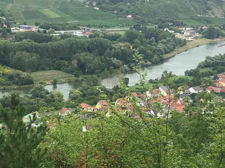 Toller Ausblick auf Erlabrunn - Mountain Bike Trails & Tracks | Komoot