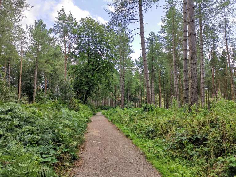 Trans Pennine trail – Blakemere Moss Loop from Glazebrook | bike Tour ...