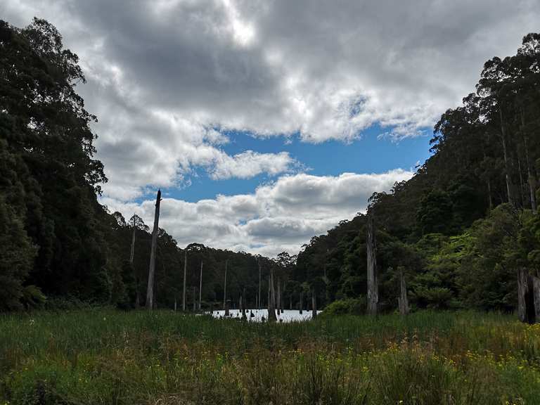 Lake Elizabeth – Lake Elizabeth loop from Forrest | hike | Komoot