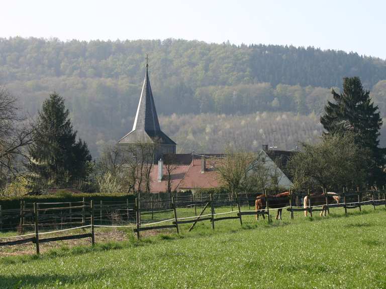 Brettacher Waldsee – Ruine Helmbund Kirchle Runde von Neuenstadt am ...