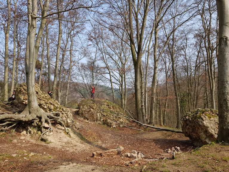 Ruine Hirschburg: Wanderungen und Rundwege | komoot