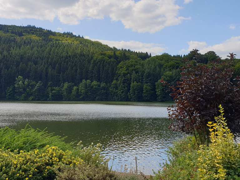 Bistro und Bootsverleih Stausee Biersdorf Routes for Walking and Hiking ...