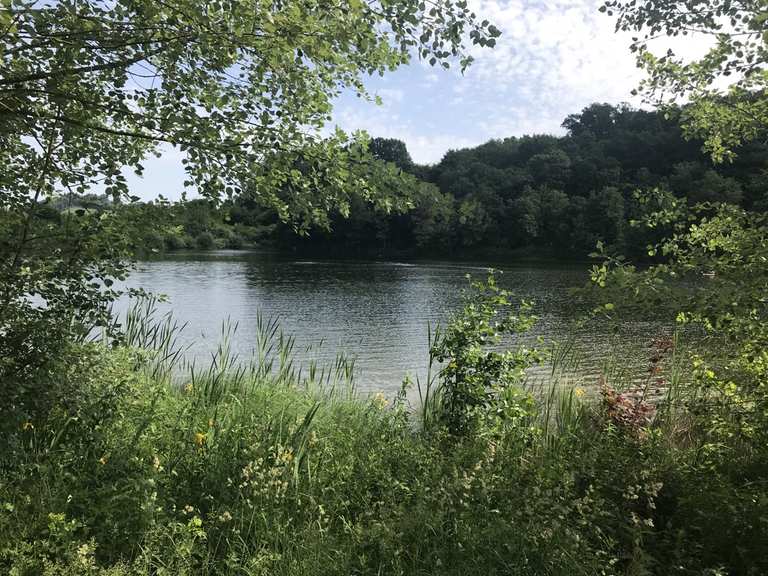 Katzenbachsee: Wanderungen und Rundwege | komoot