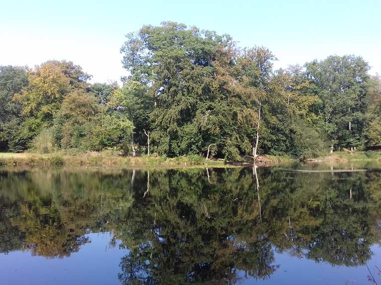 De Bronnen in het Springendal wandelroutes en hikes | Komoot