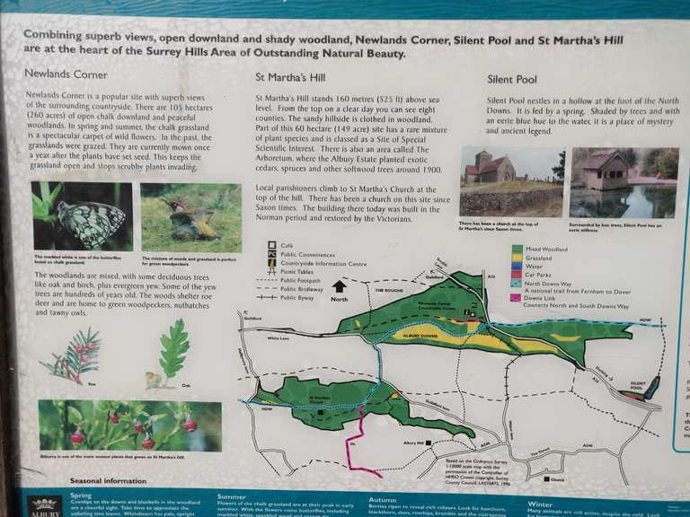 Newlands Corner Road Cycle Routes and Map | Komoot