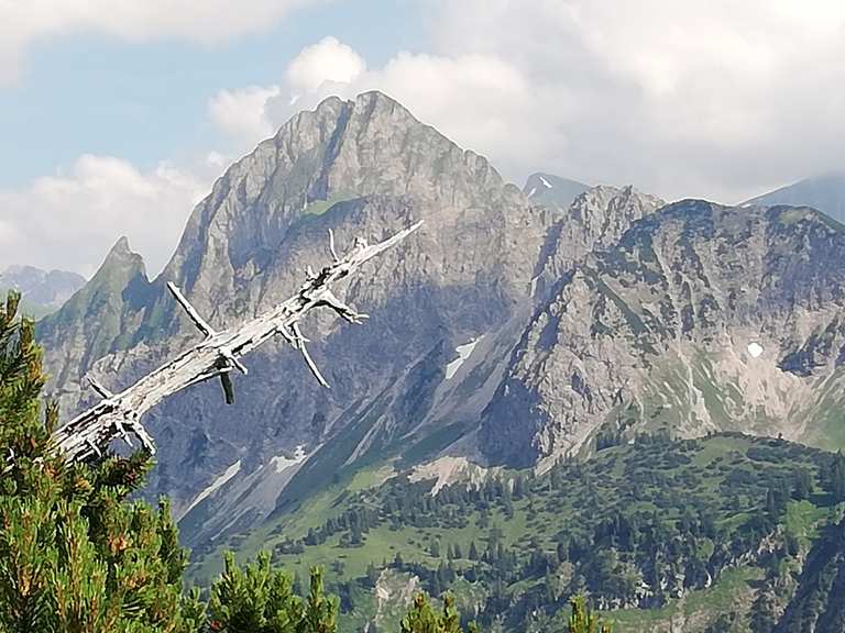 Schattenberg-Gipfelkreuz: Wanderungen und Rundwege | komoot