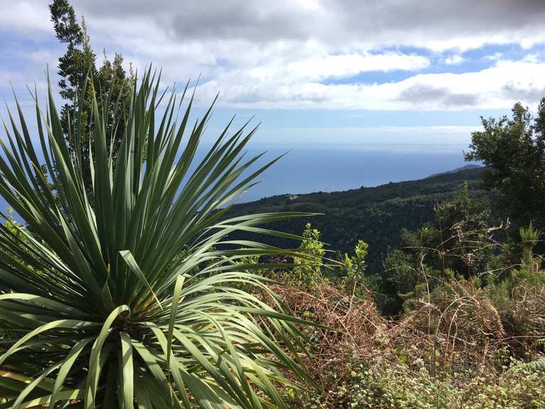 Mirador de las Barandas Routes for Walking and Hiking | Komoot