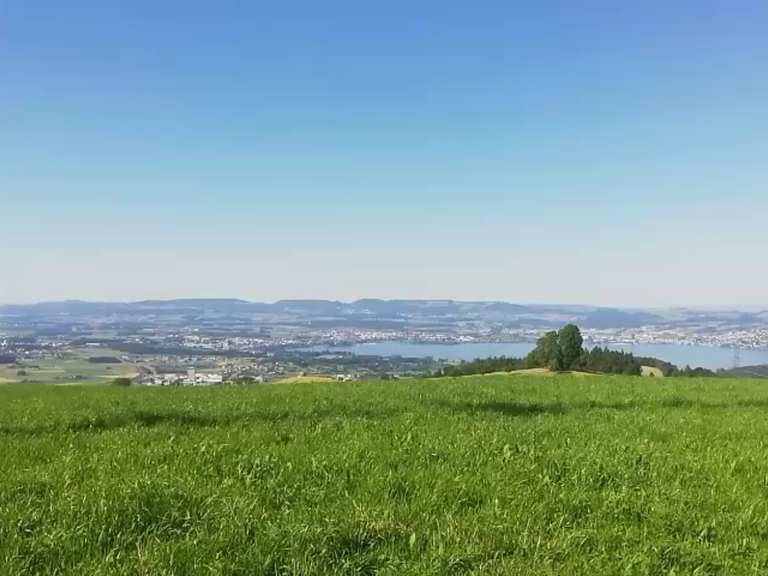 Rooterberg: Wanderungen und Rundwege | komoot