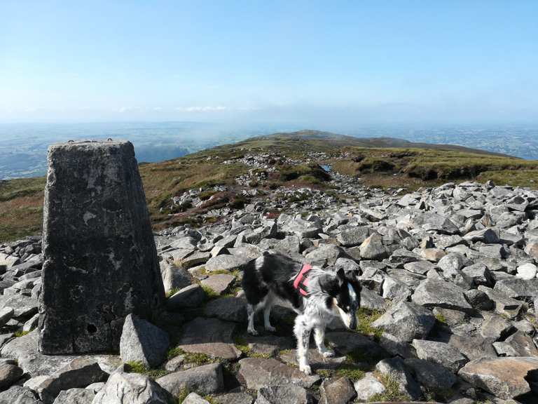 Slieve Gullion Routes for Walking and Hiking | Komoot