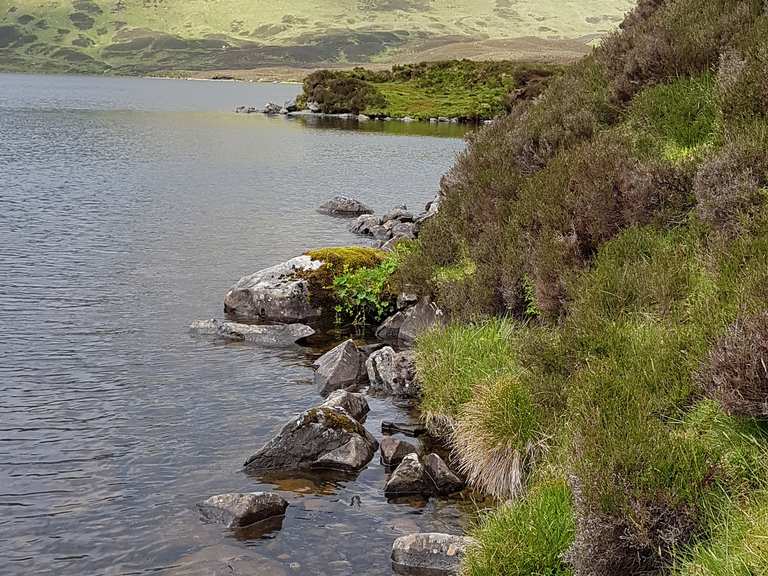 Loch Skeen Routes for Walking and Hiking | Komoot