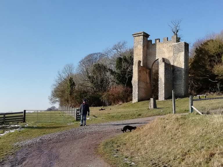 Slindon Wood Routes for Walking and Hiking | Komoot