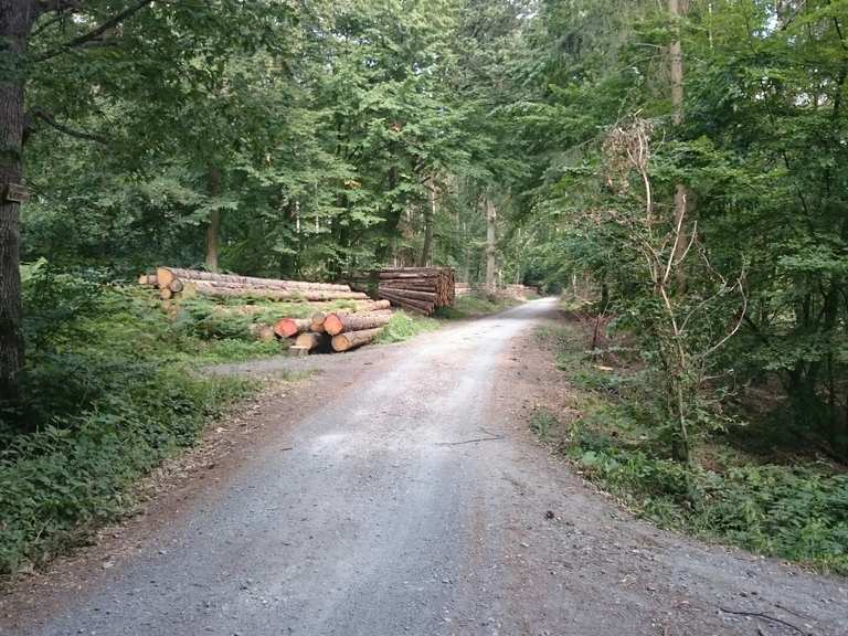 Herzbergturm – Berggasthof Herzberg Runde von Gonzenheim | Fahrradtour ...