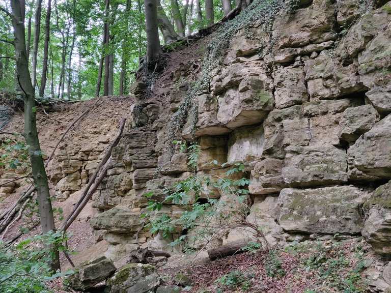 Kalksandsteinbruch Routes for Walking and Hiking | Komoot