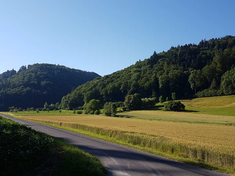 888 Bern Green Belt | bike ride | Komoot