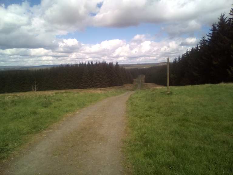 Kielder Forest - amazing gravel section Cycle Routes and Map | Komoot