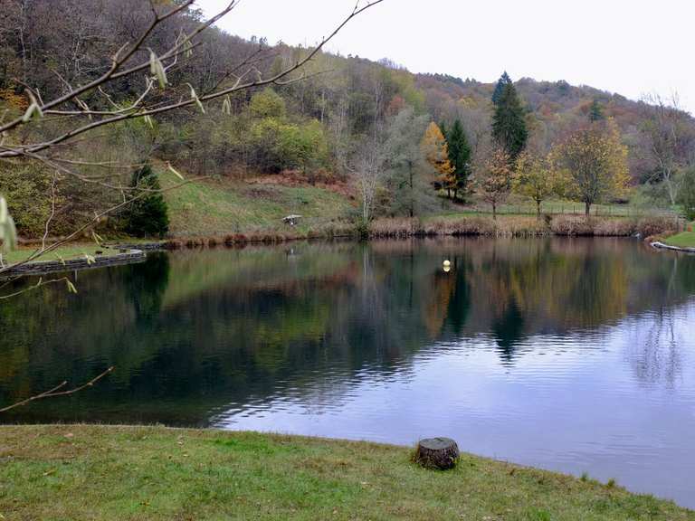 Laghetto di Astano - Astano See Routes for Walking and Hiking | Komoot