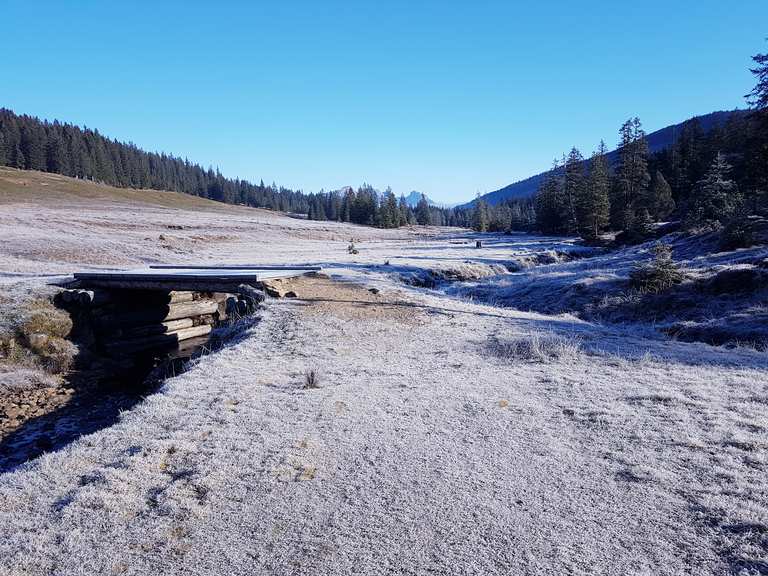 Moorlandschaft Glaubenberg: Wanderungen und Rundwege | komoot