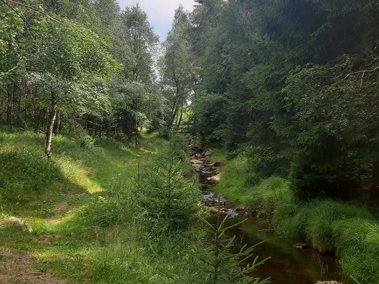 Wanderweg an d.Roten Weisseritz Mountain Bike Trails & Tracks | Komoot