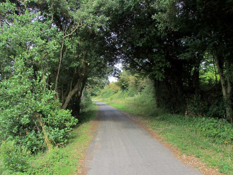 Tarka Trail - Cycle Routes and Map | Komoot