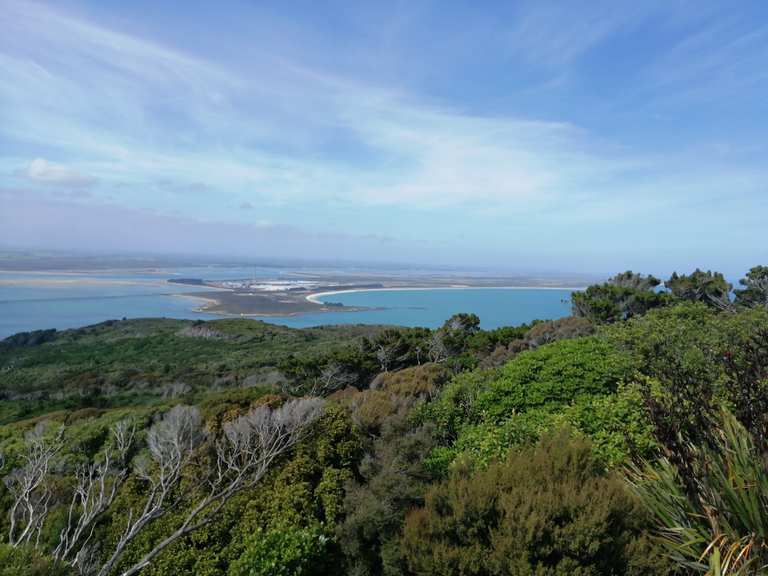 Bluff Hill Lookout Routes for Walking and Hiking | Komoot