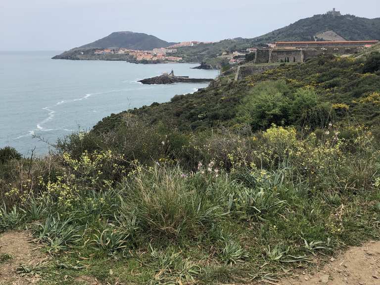 Sentier côtier de la plage de l'Ouille à Collioure - Itinéraires de ...