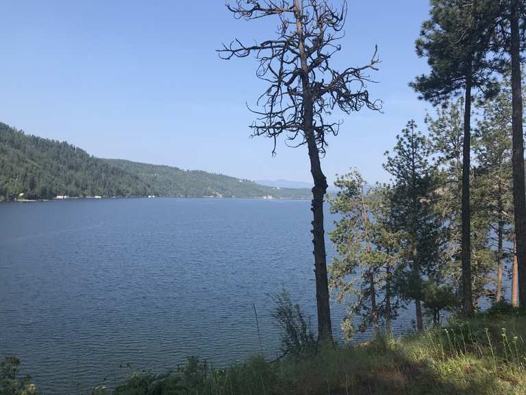 Higgens Point: Rennradfahren und Rennradtouren | komoot