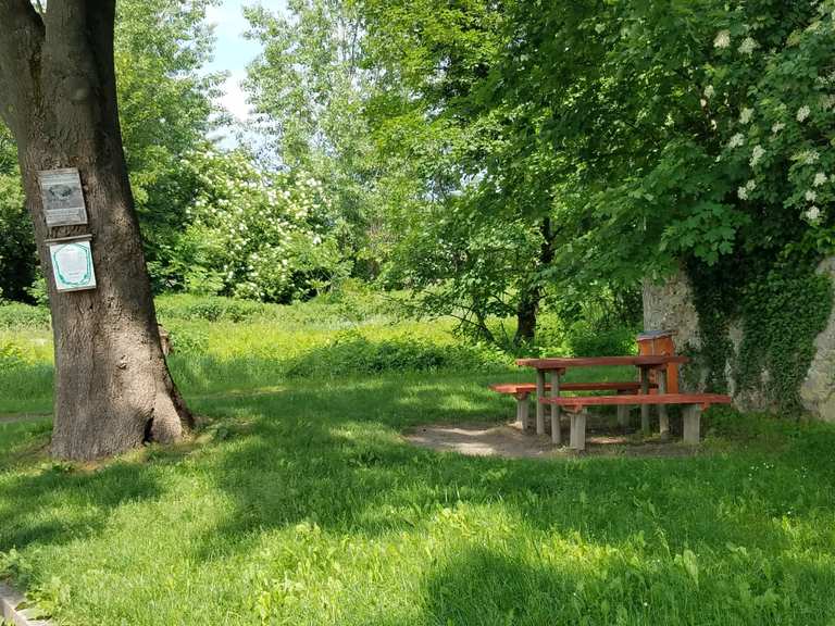 Schloss 🏰 Wolfsthal : Radtouren und Radwege | komoot