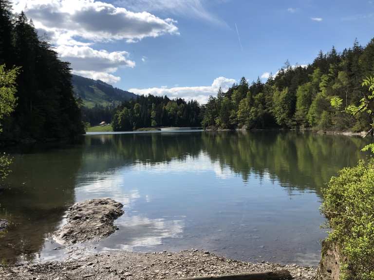 Chapfensee - Mountain Bike Trails & Tracks | Komoot