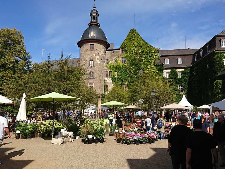 Schloss Laubach: Wanderungen und Rundwege | komoot